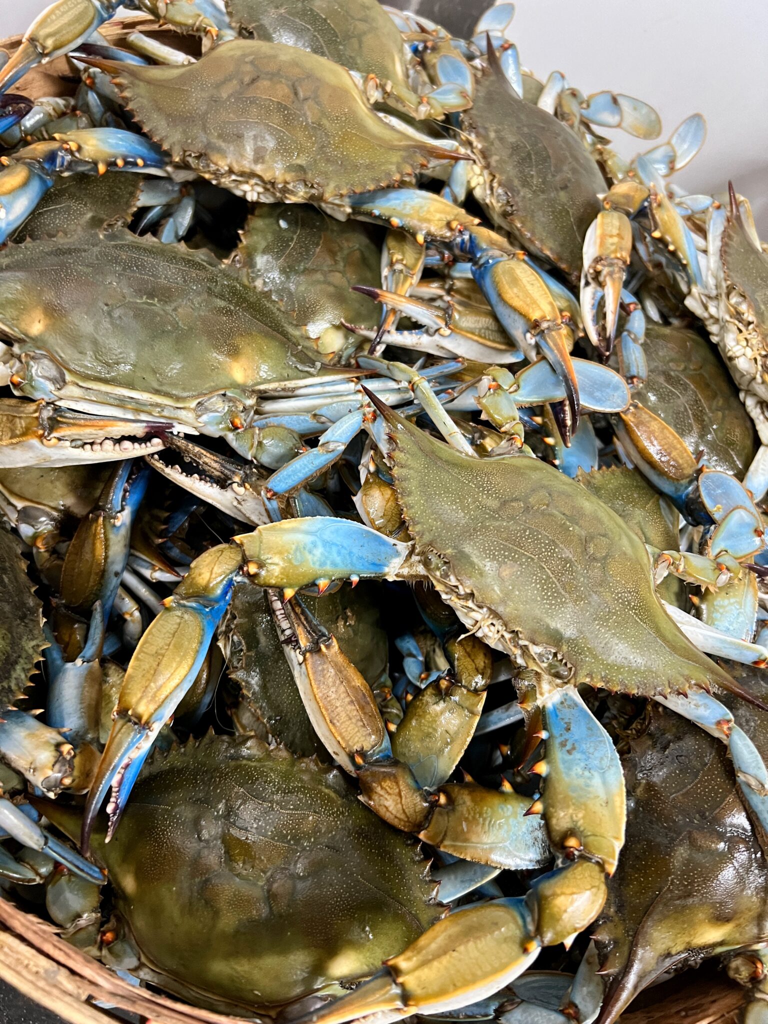 Maryland Steamed Crabs Nottingham & Perry Hall | Captain Harry's